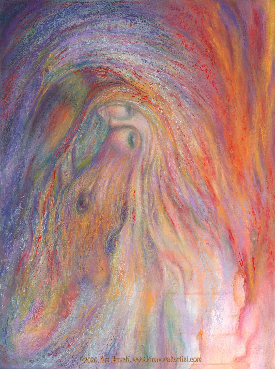 Kim NovaK ⋆ Artist