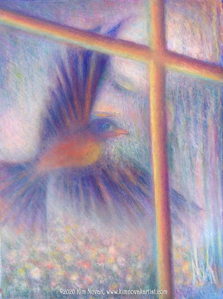 Kim NovaK ⋆ Artist